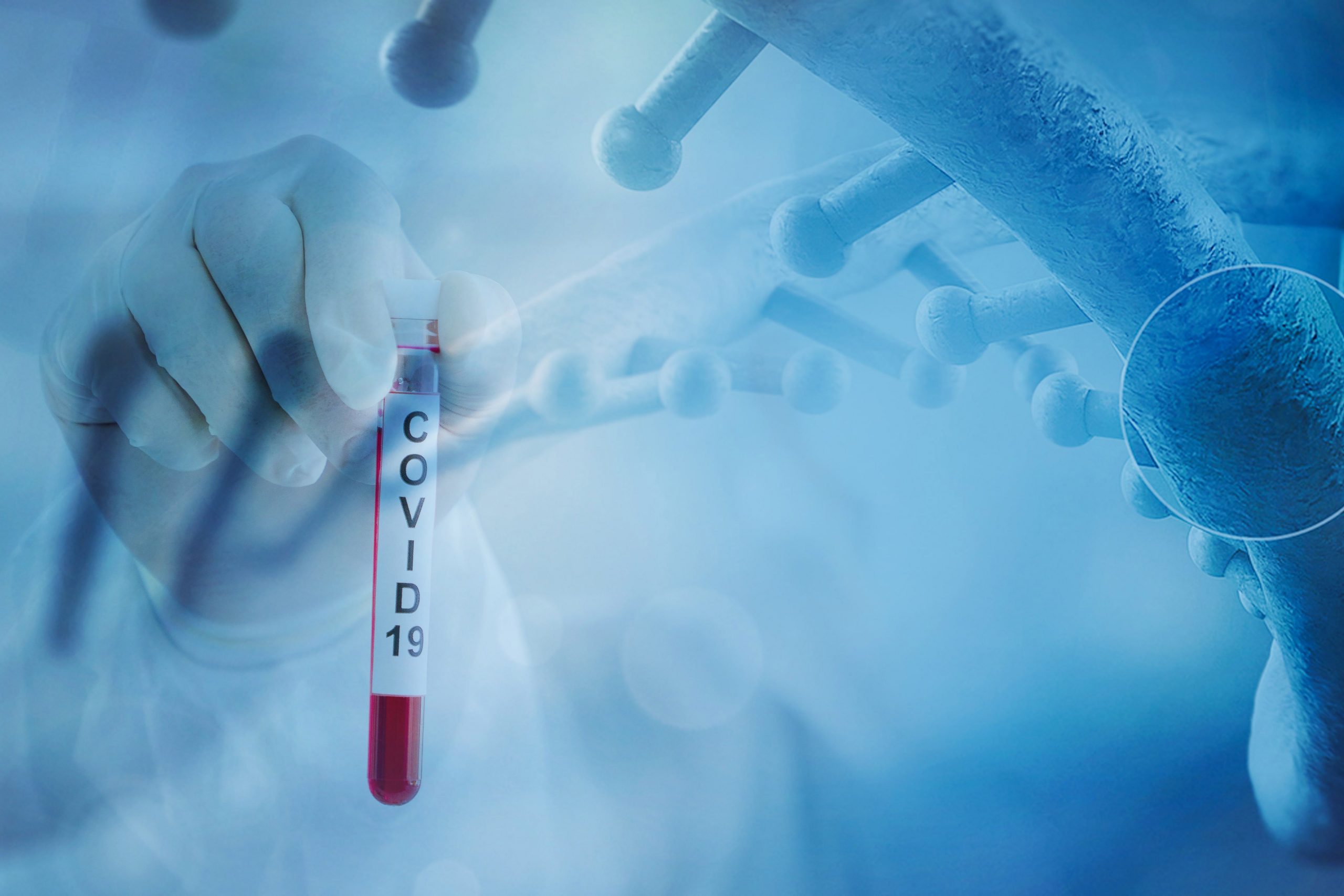 High-Quality Medical Image Datasets - CapeStart